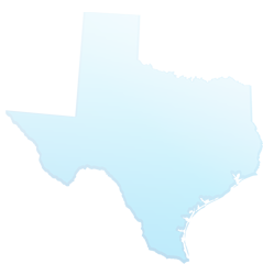 Texas LLC - Form an LLC in Texas or Delaware | IncNow